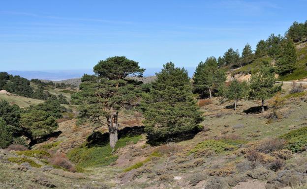 Aprobado el Plan de Desarrollo Sostenible de la Sierra de Baza | Baza ...