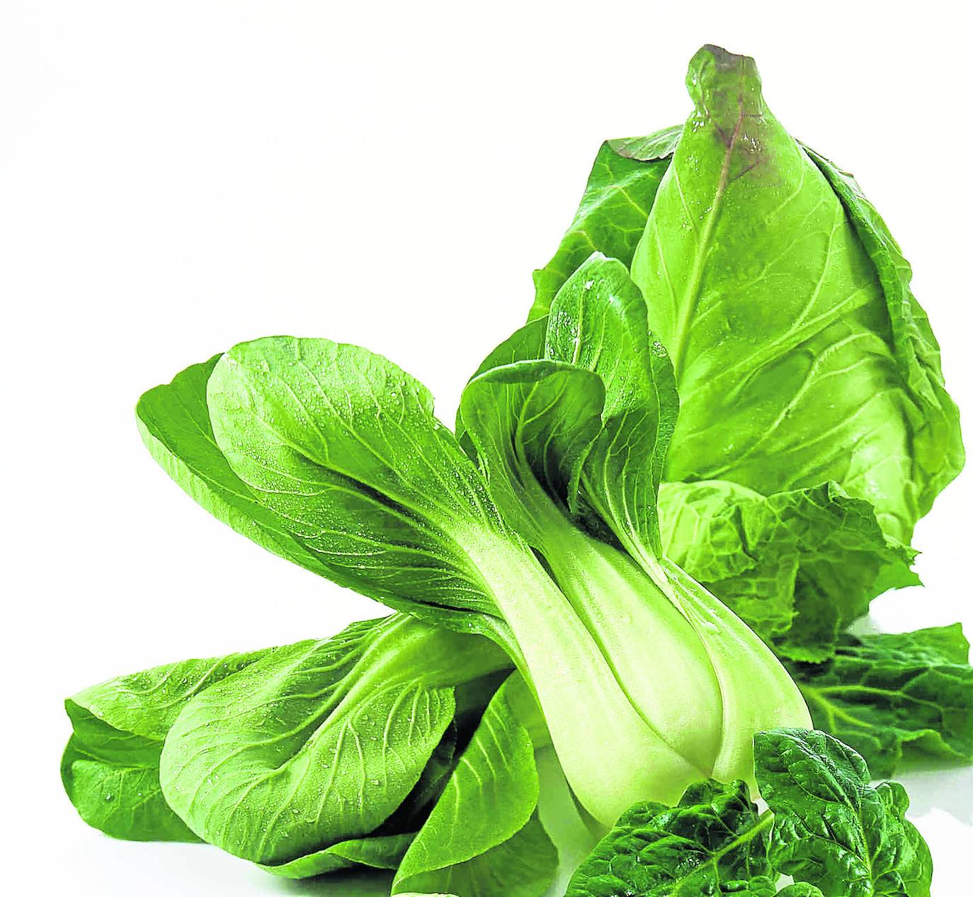 Todo sobre la acelga. Cómo disfrutar de una hortaliza de plena ...