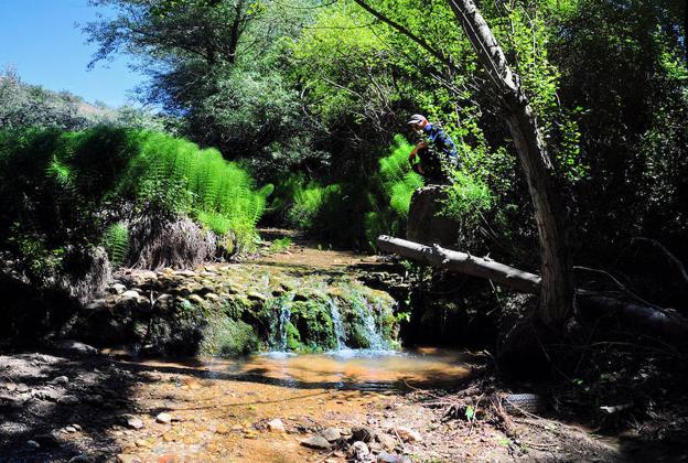 Río Beiro, el repudiado | Ideal