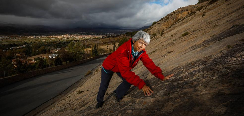 Terremotos: La falla de Granada que explica la creación de los ...